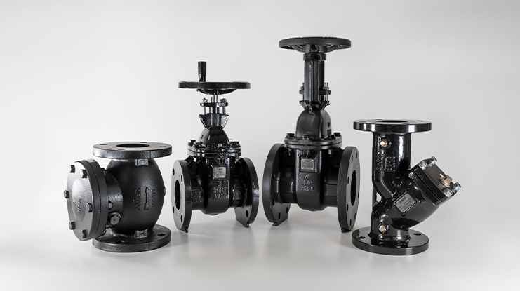 Cast Iron Valves – Jomar Valve