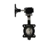 BFV-Lug – Jomar Valve